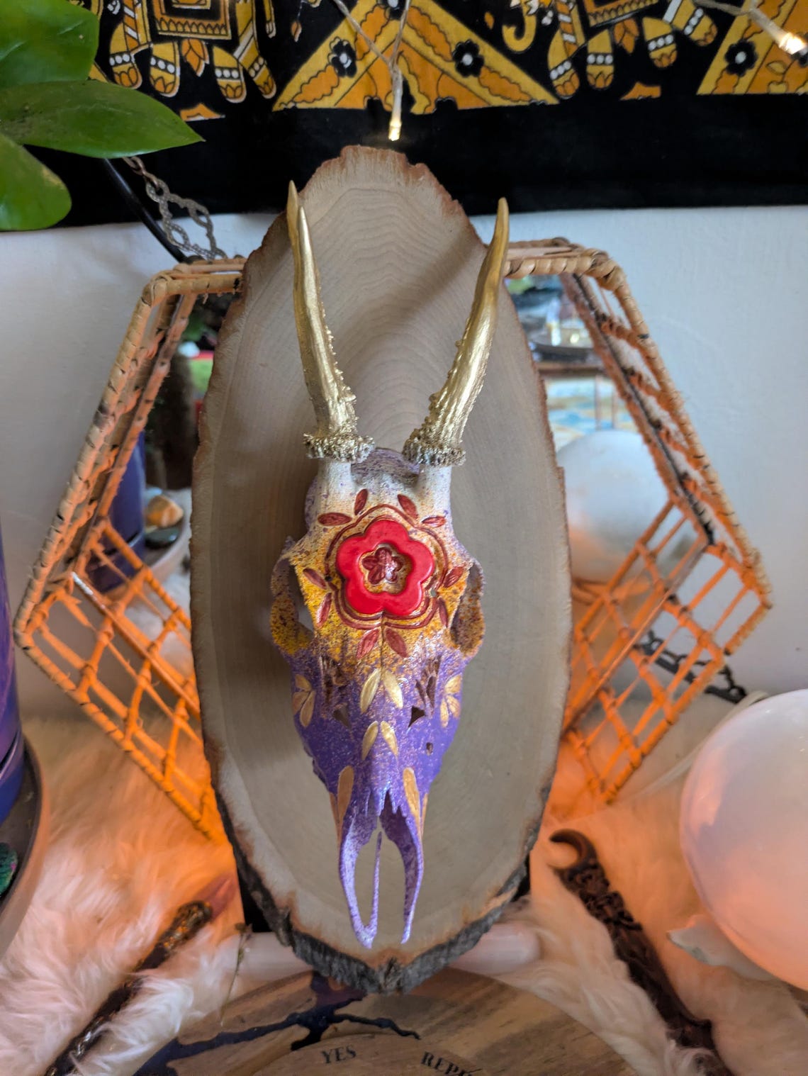 Sunset Color Carved and Painted REAL Roe Deer Skull - Etsy