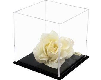 Small display case | Etsy