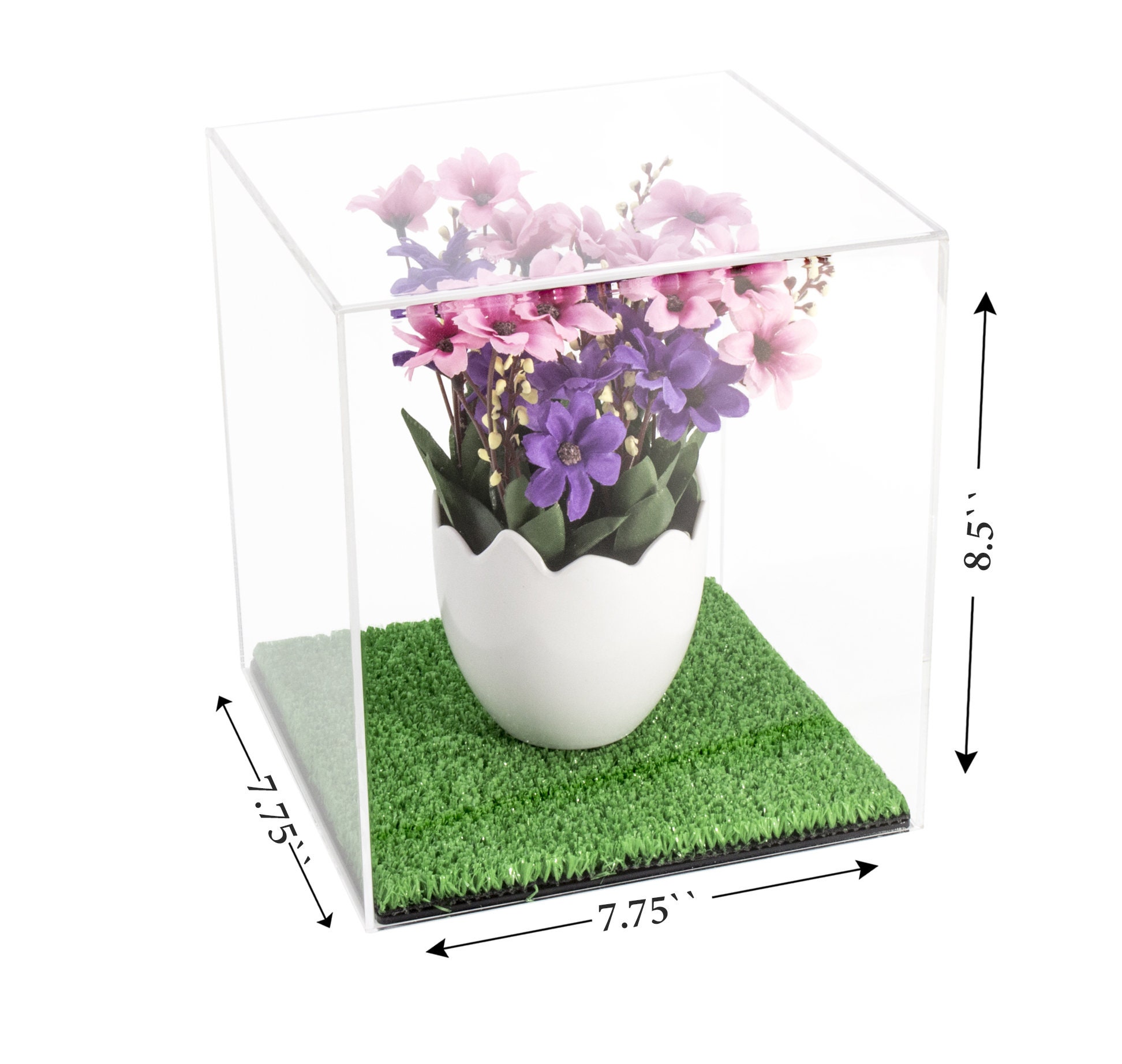 Versatile Deluxe Acrylic Display Case Small Rectangle Box With - Etsy