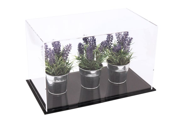 Versatile Acrylic Display Case Medium Rectangle Box 14 - Etsy