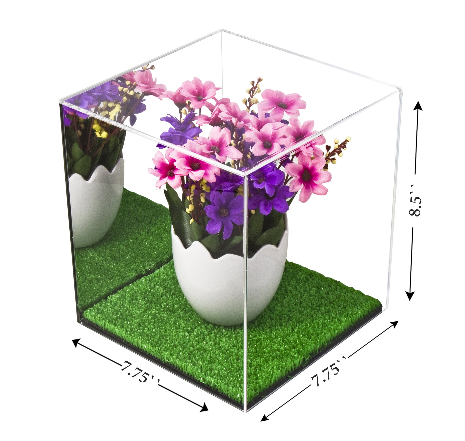 Versatile Deluxe Acrylic Display Case Small Rectangle Box With - Etsy