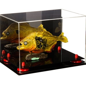 Versatile Acrylic Display Case Medium Rectangle Box With Mirror, Wall ...