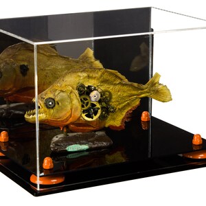 Versatile Acrylic Display Case Medium Rectangle Box With Mirror, Wall ...