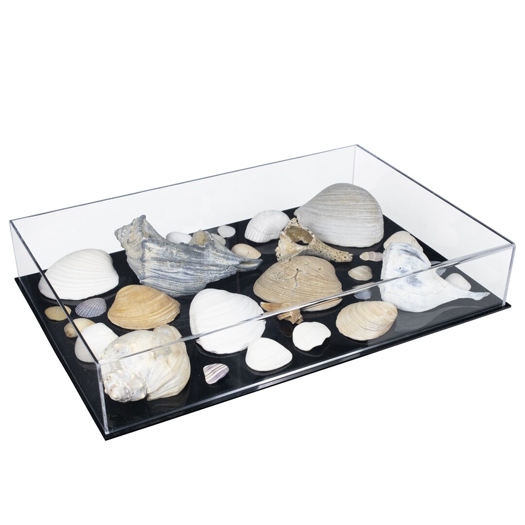 Versatile Acrylic Display Cases With Double Sheet Base With Clear Case ...