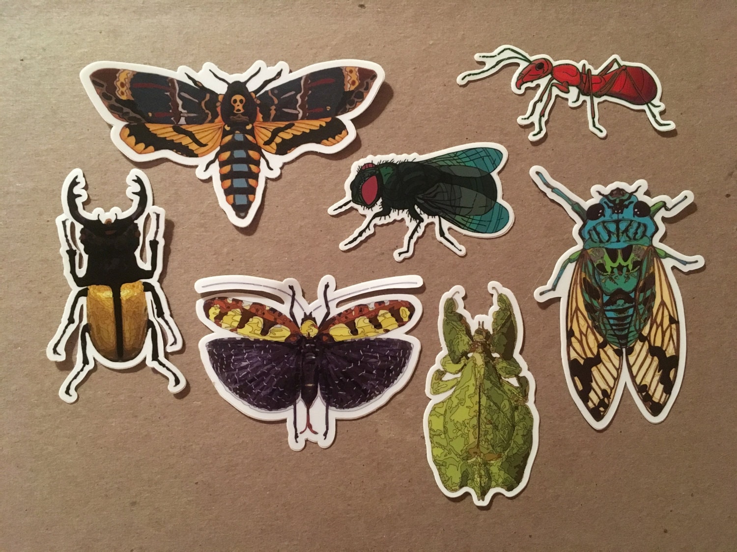 Insect sticker pack 7 vinyl stickers | Etsy