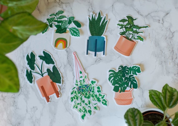 Plant Lover Sticker Pack Illustration Weatherproof Die Cut | Etsy
