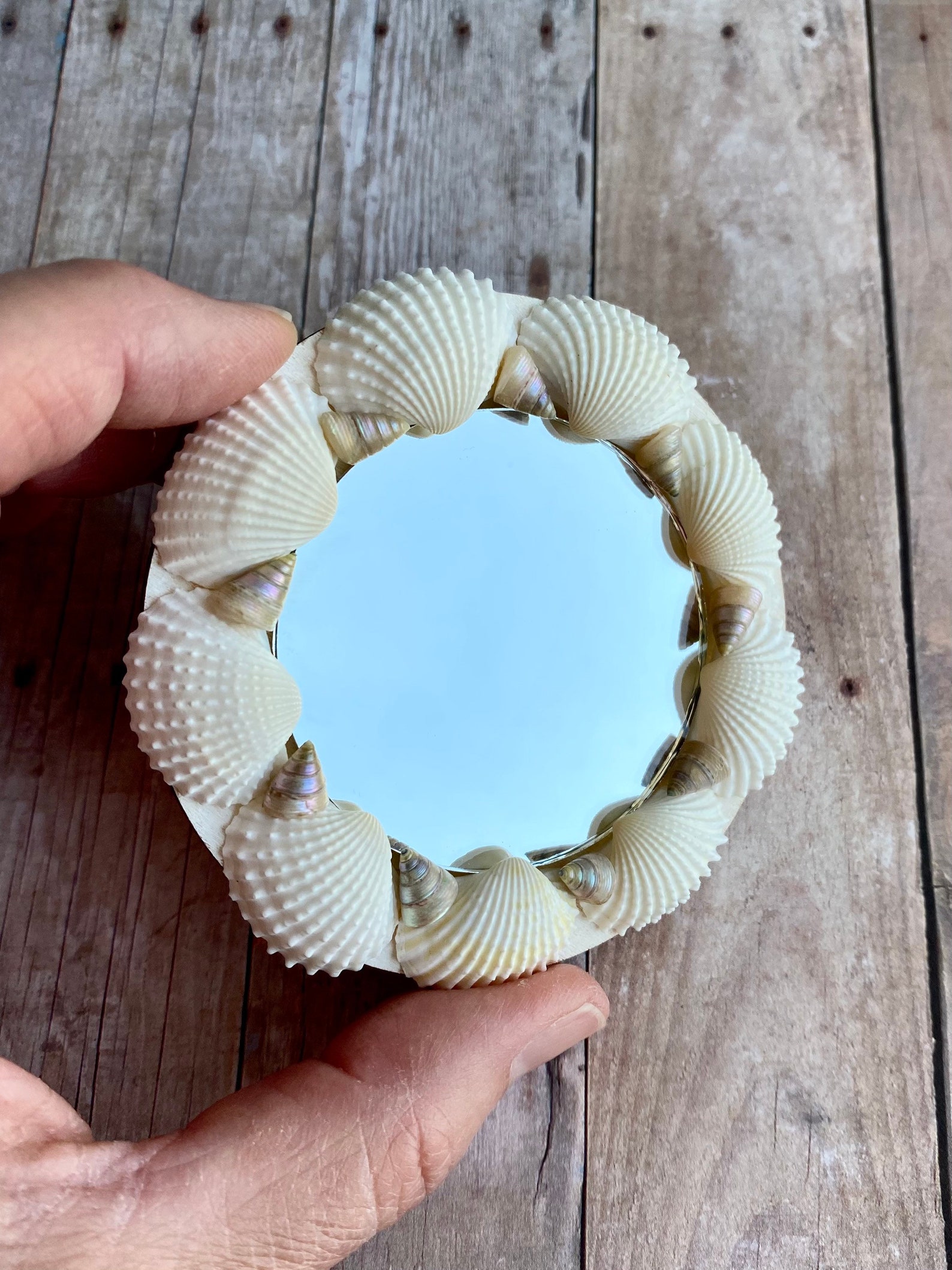 Miniature Sea Shell Mirror Dollhouse Mirror Artisan | Etsy