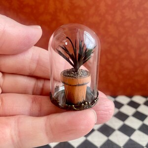 Miniature Plant in Cloche, Miniature Halloween Plant, Handmade ...