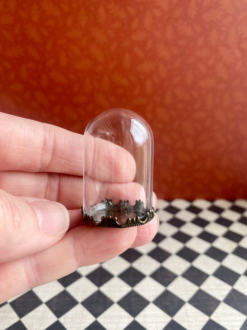 Miniature Plant in Cloche, Miniature Halloween Plant, Handmade ...