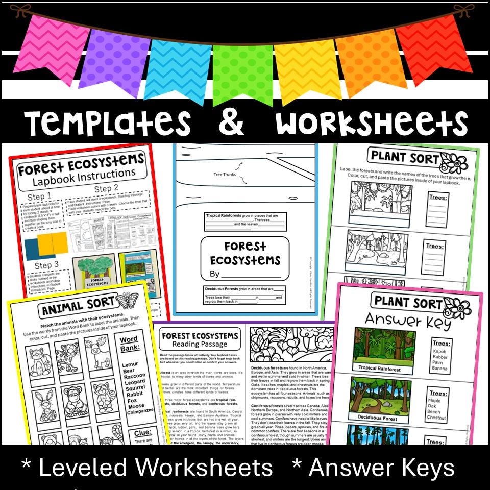 Forest Ecosystems Mini Lapbook and Reading Passage - Etsy