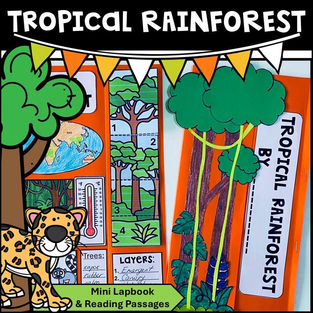 Tropical Rainforest. Location. Layers. Plants & Animals. Resources ...
