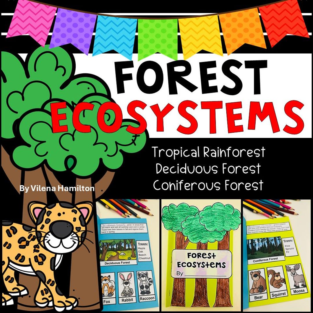Forest Ecosystems Mini Lapbook and Reading Passage - Etsy