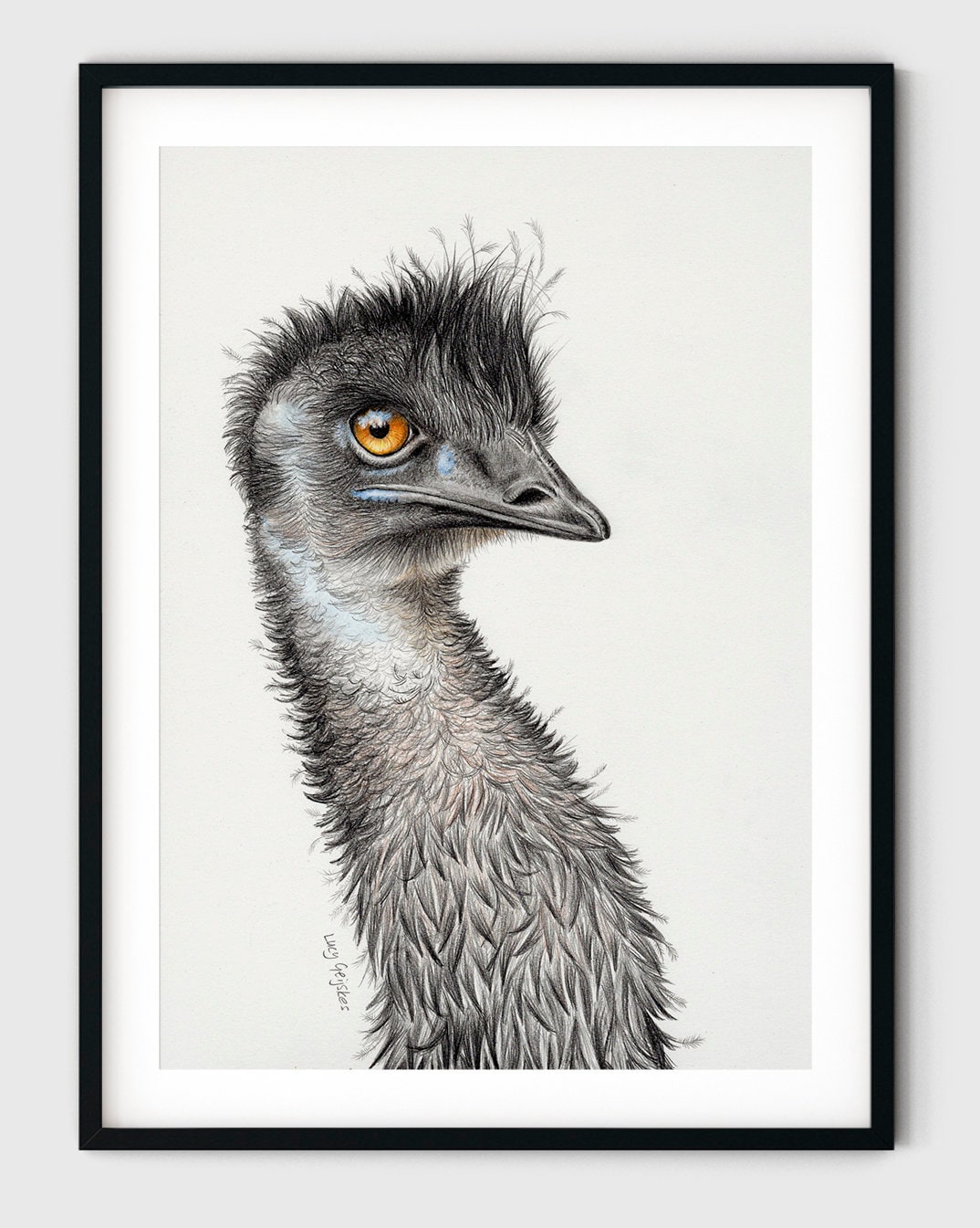 Emu Three Coloured Pencil Drawing | Etsy