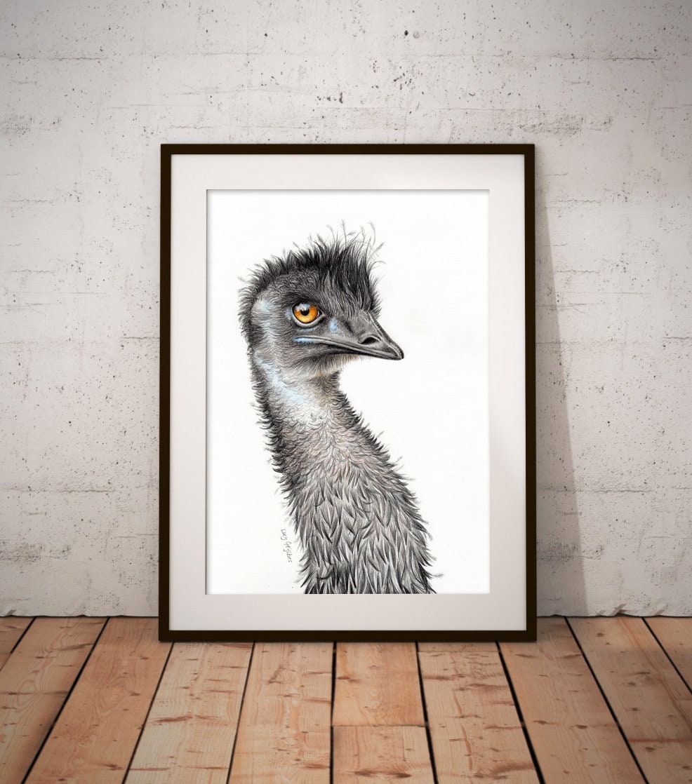 Emu Three Coloured Pencil Drawing | Etsy