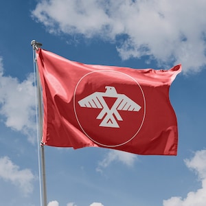 Anishinaabe Flag | Unique Design Print | High Quality Materials | 5 ...