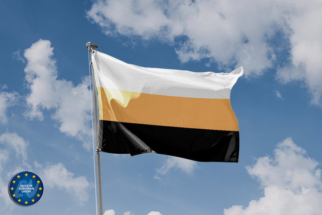 DID/OSDD System Pride Flag Unique Print, 3x5 Ft / 90x150 Cm Size, EU ...