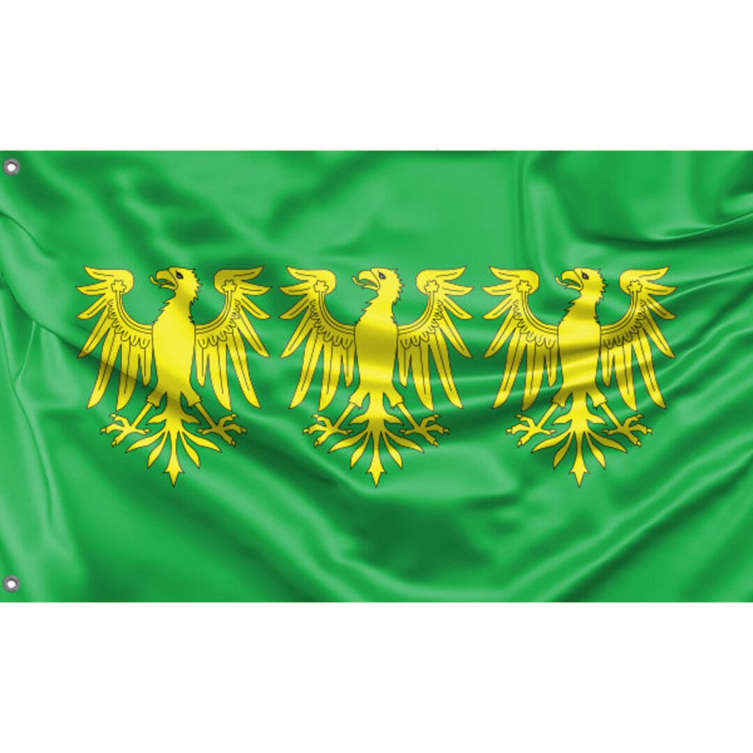 Coat of Arms of Owain Gwynedd Flag Unique Design Print High Quality ...