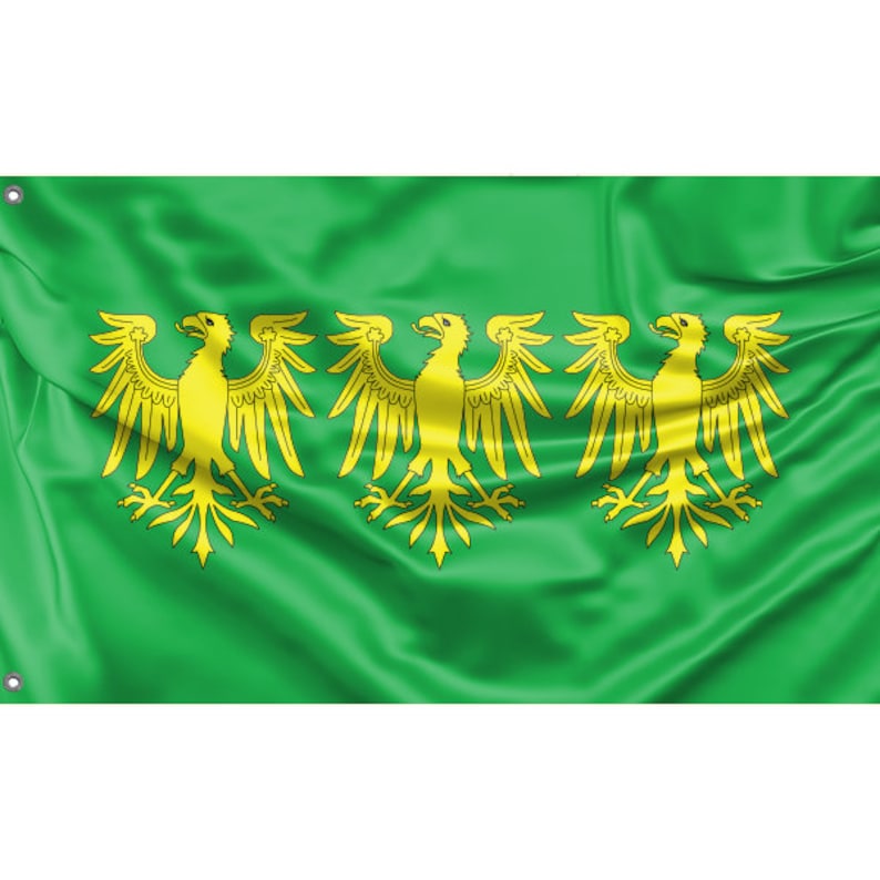 Coat of Arms of Owain Gwynedd Flag | Unique Design Print | High Quality ...