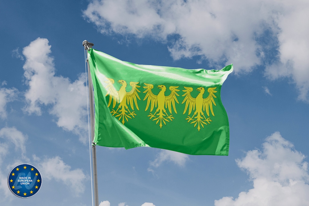 Coat of Arms of Owain Gwynedd Flag | Unique Design Print | High Quality ...