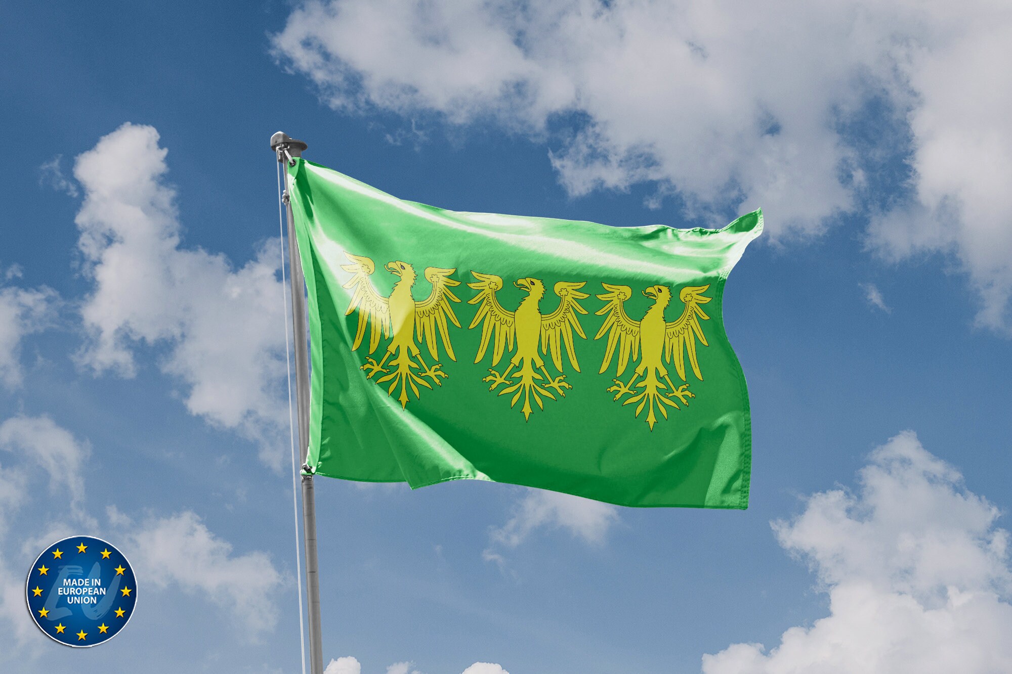 Coat of Arms of Owain Gwynedd Flag | Unique Design Print | High Quality ...