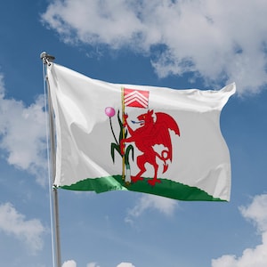 Flag of Cardiff Unique Design Print High Quality Materials Size 3x5 Ft ...