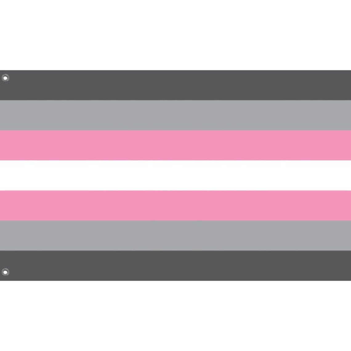 Demigirl Pride Flag | Unique Design Print | High Quality Materials | 5 ...