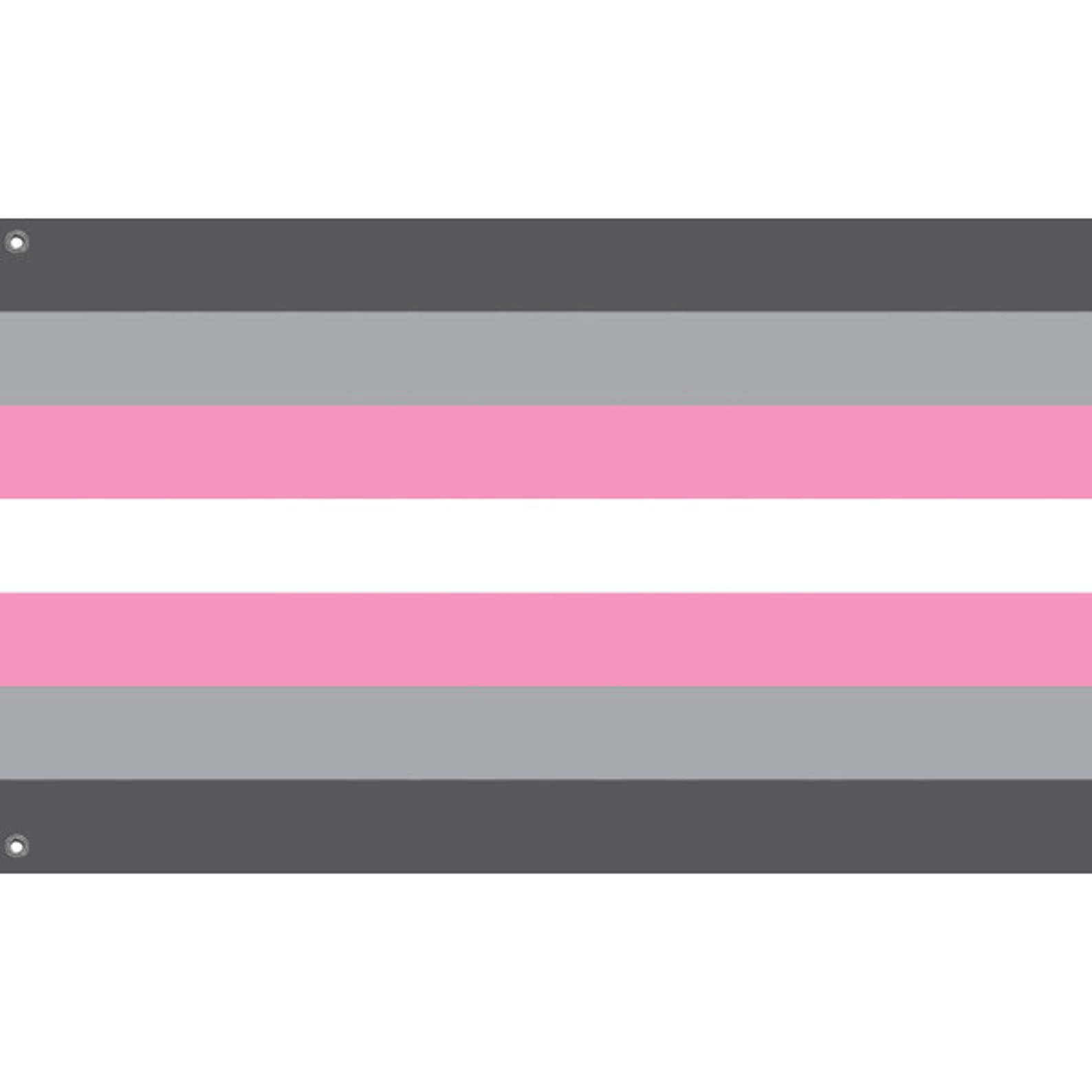 Demigirl Pride Flag Unique Design Print Hiqh Quality | Etsy