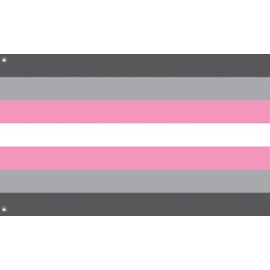 Demigirl Pride Flag | Unique Design Print | High Quality Materials | 5 ...