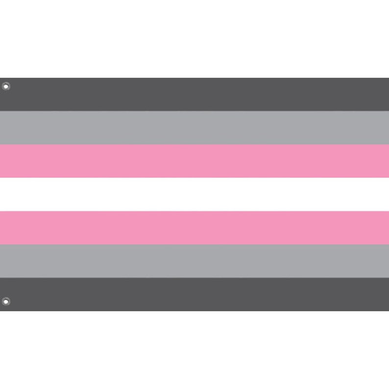 Demigirl Pride Flag | Unique Design Print | High Quality Materials | 5 ...