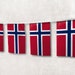 Norway Flag Garland Unique Design Home Decor High Quality Materials and ...