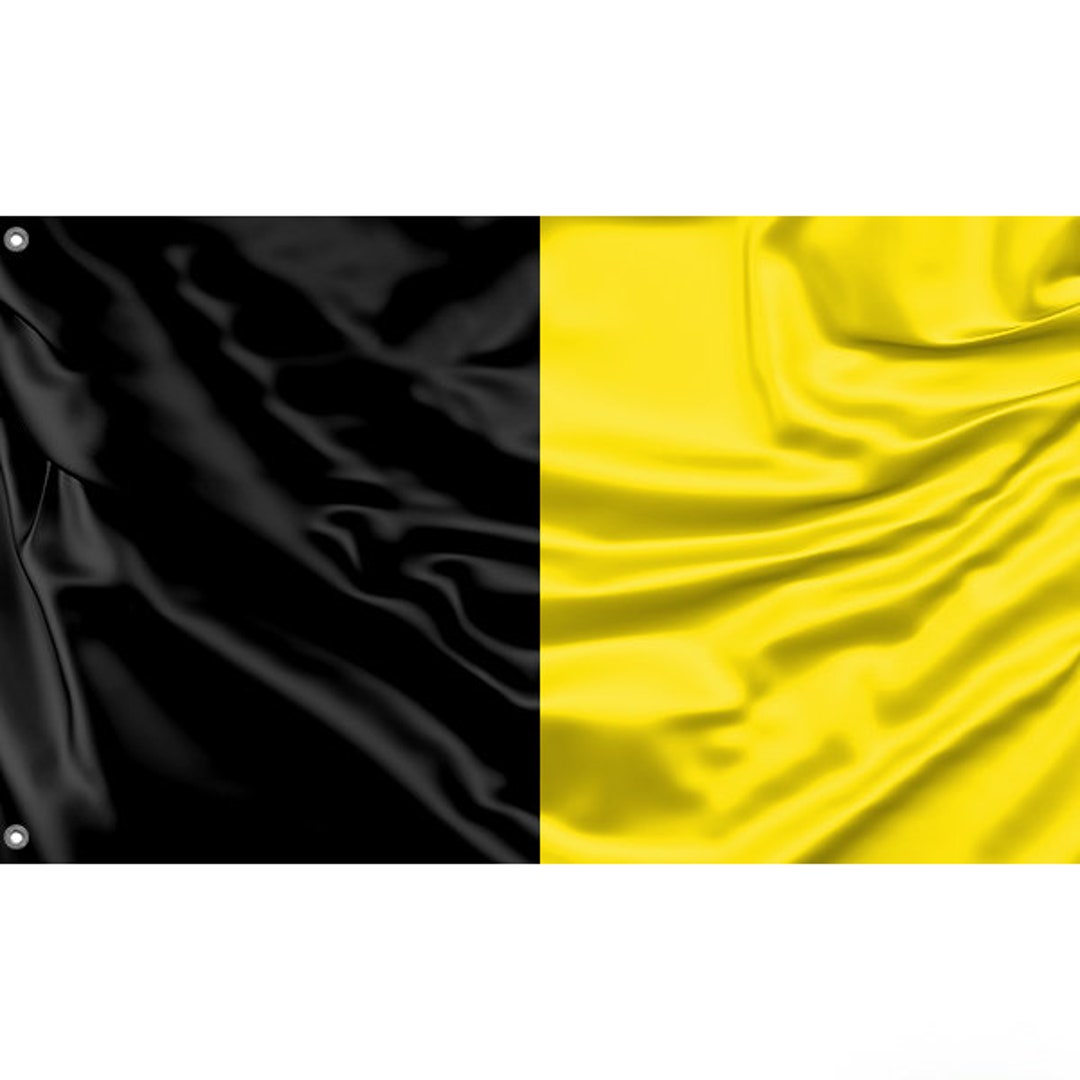 Town of Sneek Flag Unique Design Print High Quality Materials Size 3x5 ...