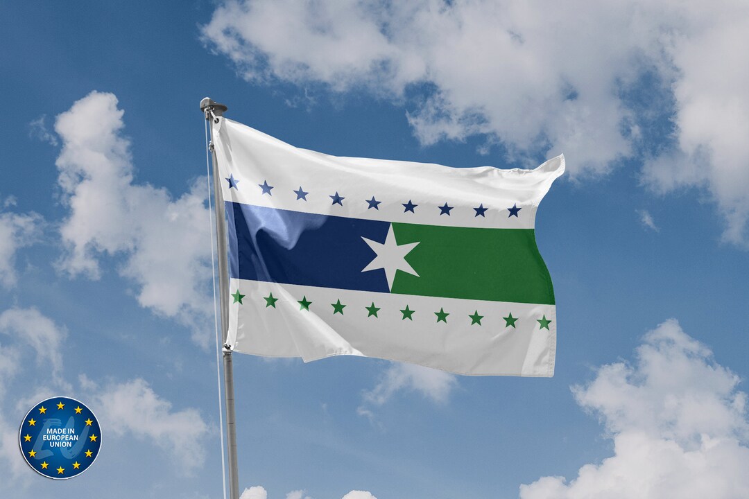 Redesigned Illinois State Flag Unique Design Print High Quality ...