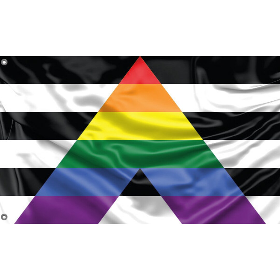 LGBT Ally Flag Unique Print, 3x5 Ft / 90x150 Cm Size, EU Made - Etsy