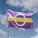 Intergender Flag | Unique Design Print | High Quality Materials | Size ...