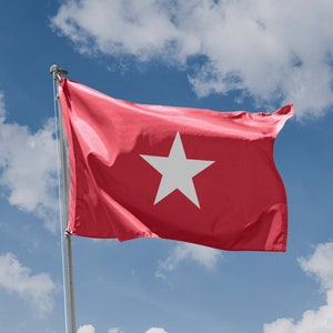 Jane Long 1819 Flag | Unique Design Print | Hiqh Quality Materials ...