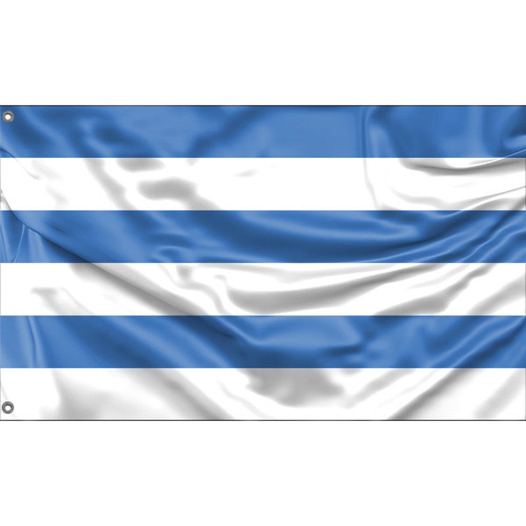 Flag of Tallinn Estonia Unique Print 3x5 Ft / 90x150 Cm - Etsy