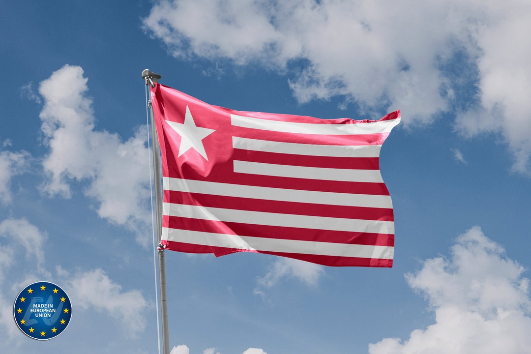 Col. James Long 1819 Flag Unique Design Print Hiqh Quality Materials ...