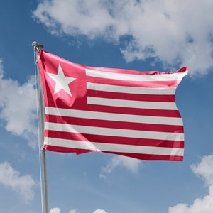 Col. James Long 1819 Flag | Unique Design Print | Hiqh Quality ...