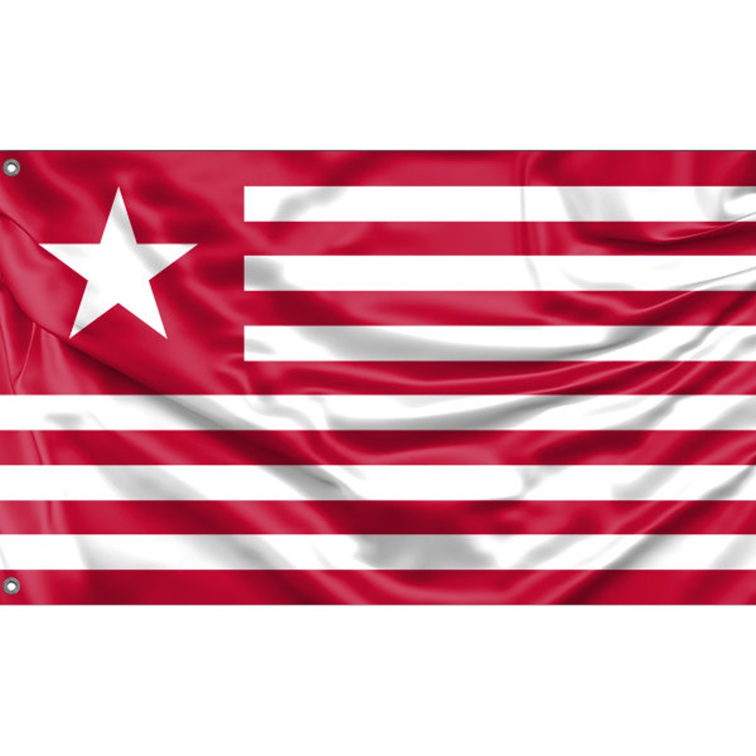 Col. James Long 1819 Flag Unique Design Print Hiqh Quality - Etsy