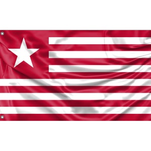 Col. James Long 1819 Flag | Unique Design Print | Hiqh Quality ...