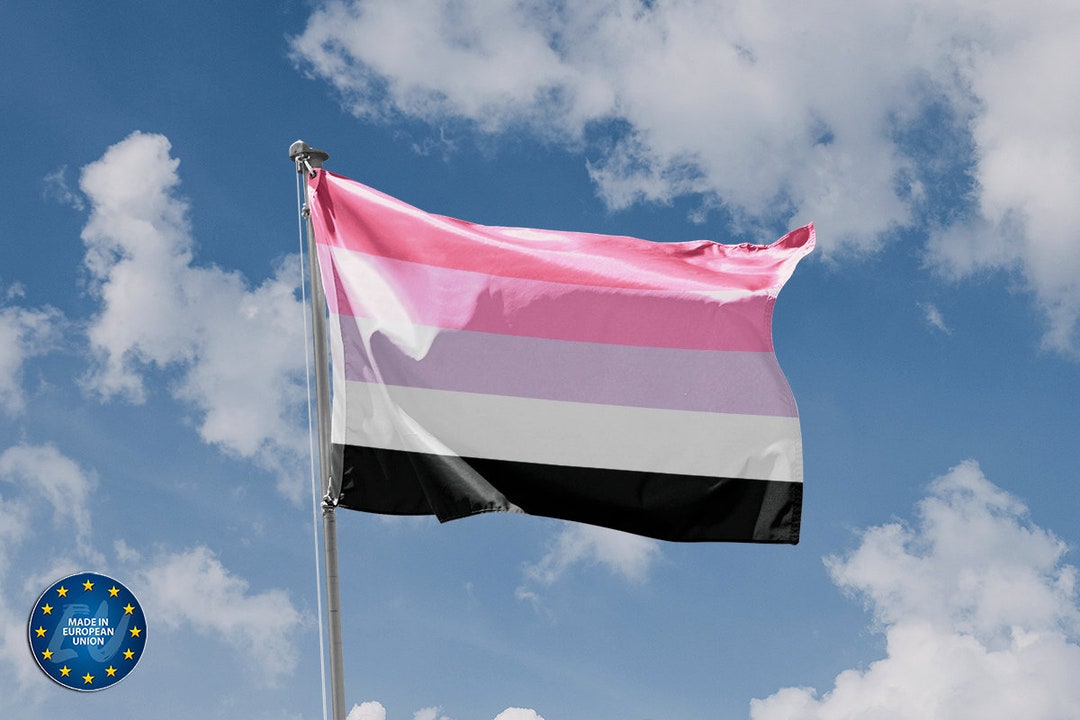 Recipsexual Pride Flag Unique Print, 3x5 Ft / 90x150 Cm Size, EU Made ...