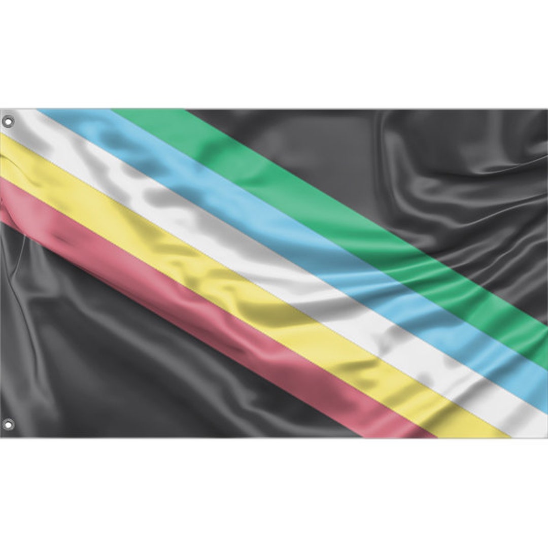 Visually Safe Disability Pride Flag Unique Design Print High Quality ...