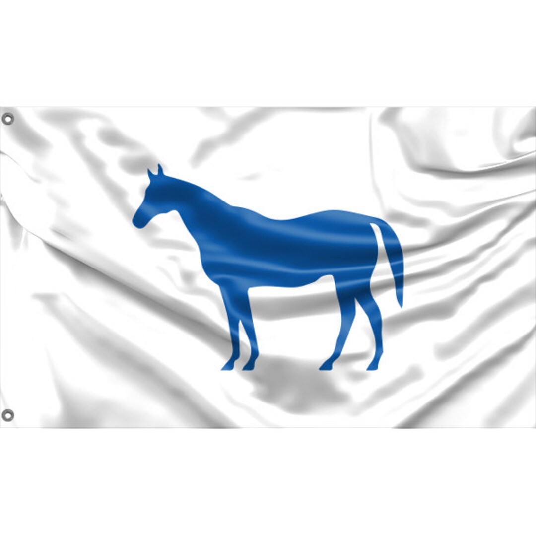 Lexington Kentucky USA Flag Unique Design Print High Quality Materials ...