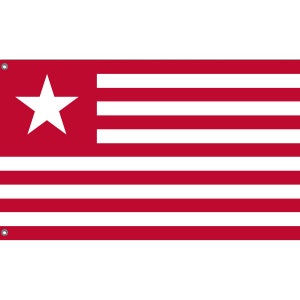 Col. James Long 1819 Flag | Unique Design Print | Hiqh Quality ...