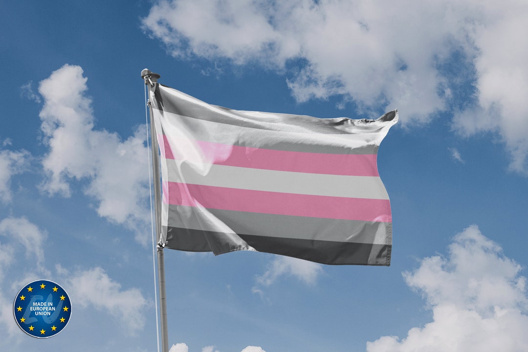 Demigirl Pride Flag | Unique Design Print | High Quality Materials | 5 ...