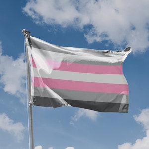 Demigirl Pride Flag | Unique Design Print | High Quality Materials | 5 ...