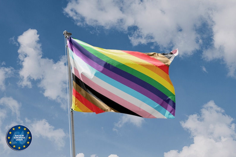 Inclusive Pride Flag Unique Design Print High Quality - Etsy