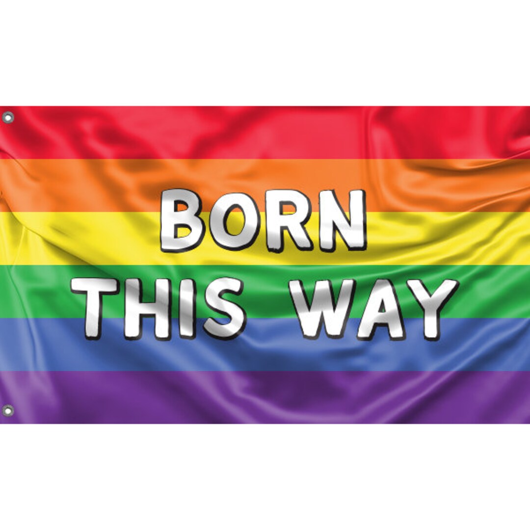 Born This Way Flag Unique Design Print Hiqh Quality Materials Size 3x5 ...