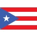 Flag of Puerto Rico | Unique Design Print | High Quality Materials ...