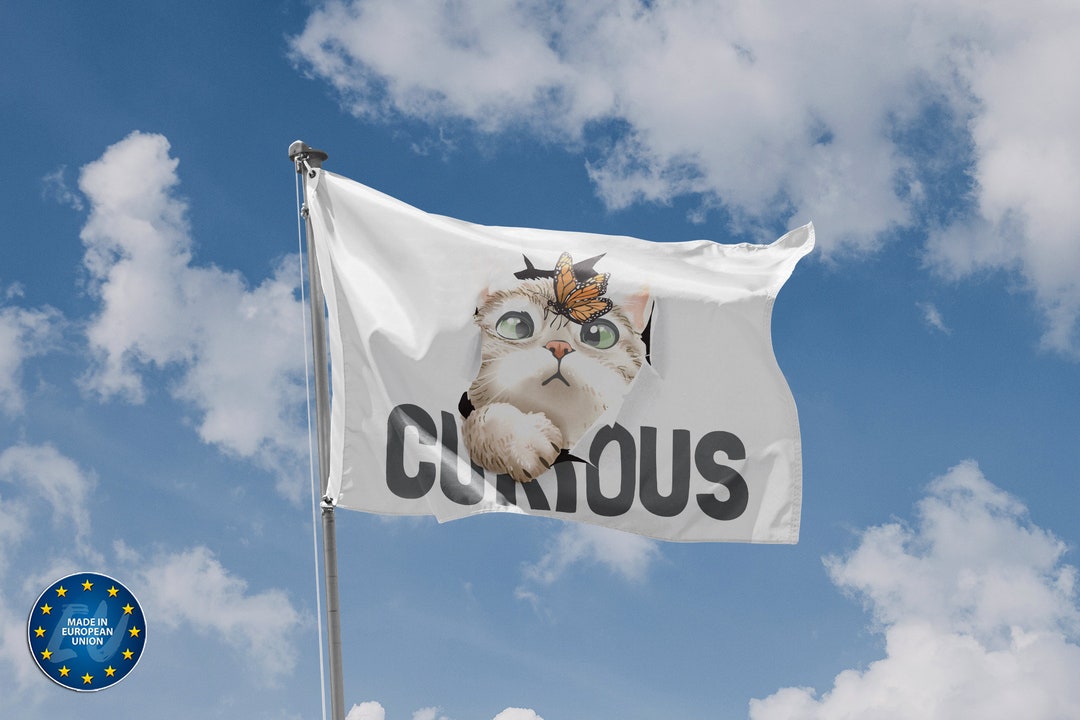 Curious Cat Flag Unique Print, 3x5 Ft / 90x150 Cm Size, EU Made - Etsy